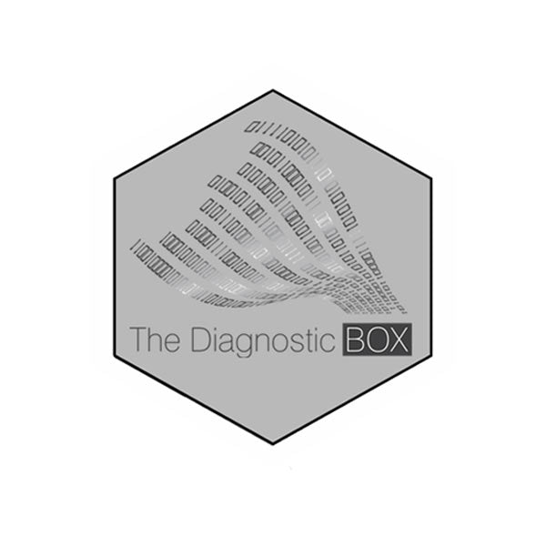 The Diagnostic Box | Advanced Tools for Locksmiths & Automotive ...
